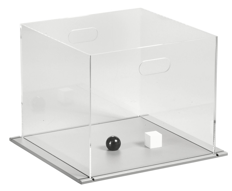 Novel Object Recognition Test Rat Global Bio Inc